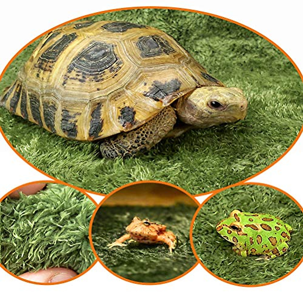 kathson 2pcs Reptile Carpet Terrarium Liner Tortoise Bedding Reptile Substrate Liner Mat Pet Cage Mats Supplies for Lizard Snake Bearded Dragon Gecko Chameleon Turtle Iguana (11.81 X 7.87 in)