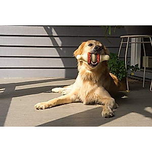 PetSafe Sportsmen Bristle Bone - Treat-Holding Toy for Dogs - Treat Rings Included - Treats Thoroughly Mixed During Bake to Prevent Choking - Rigorously Tested Ingredients - Orange, Large