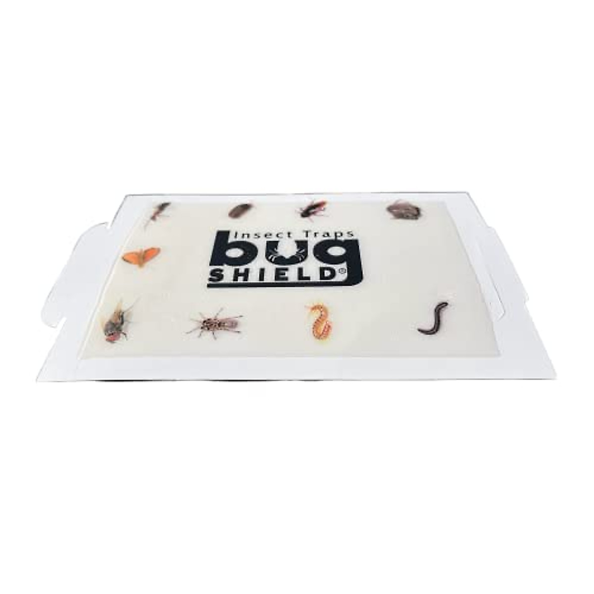 Bug Shield Sticky Glue Traps 72 Glue Boards, All Types of Incets, Spiders, Cockroaches, Ants, Cave Crickets, and More. Professional Strength Glue.