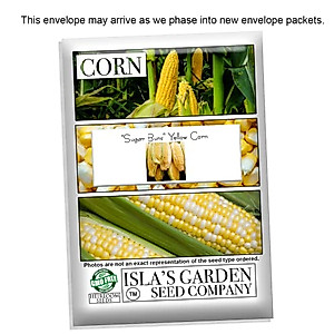 Sugar Buns Sweet Yellow Corn Seeds for Planting, 50+ Heirloom Seeds Per Packet, (Isla's Garden Seeds), Non GMO, 90% Germination Rates, Botanical Name: Zea mays, Great Home Garden Gift