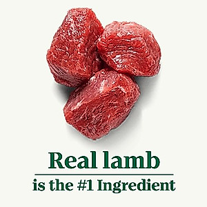 NUTRO NATURAL CHOICE Large Breed Adult Dry Dog Food, Lamb & Brown Rice Recipe, 40 lb. Bag