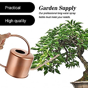 Watering can Spout Watering Pot Plant misting Water Bottle Kids Watering Spray Bottle Water Pitcher for Plants Kettle with Long Spout Child Outdoor Stainless Steel Succulent Plants