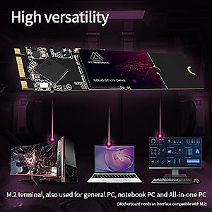 Kingshark gamer SSD M.2 2280 64GB Ngff Internal Solid State Drive High-Performance Hard Drive for Desktop Laptop SATA III 6Gb/s (64GB, M.2 2280)