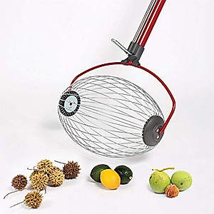 Garden Weasel Nut Gatherer 95404 - Large Nut Gatherer - Yard Roller - Picks up Walnuts, Small Fruits, Sweet Gum Balls, and Magnolia Seeds from 1.5” to 3”