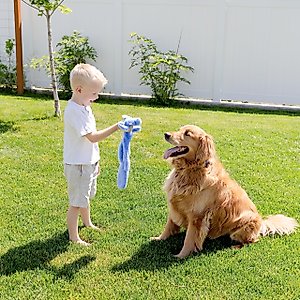 Squeaky No Stuffing Dog Toy Set – New & Improved Edition Plush Crinkle Dog Toys for Small, Medium & Large Breeds – Soft Tough Stuffless Puppy Chew Squeak Animal Supports Pet Health & Well Being 5 Pack