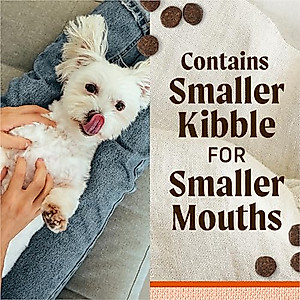 Merrick Lil’ Plates Premium Grain Free Dry Dog Food For Small Dogs, Real Texas Beef And Sweet Potato Kibble - 4.0 lb. Bag