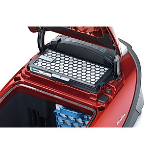 Miele original Active AirClean filter (SF-AA 50) with timeStrip filter for vacuum cleaners Complete C2, Complete C3, Compact C1, Compact C2 Pack of 1