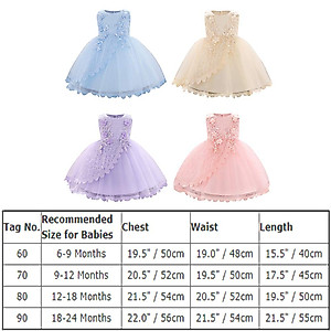 Baby Girls Tutu Dress Infant Flower Girl Sequin Lace Appliques Princess Dress for Baby Wedding Party First Birthday Pageant Gown Lilac 12-18 Months
