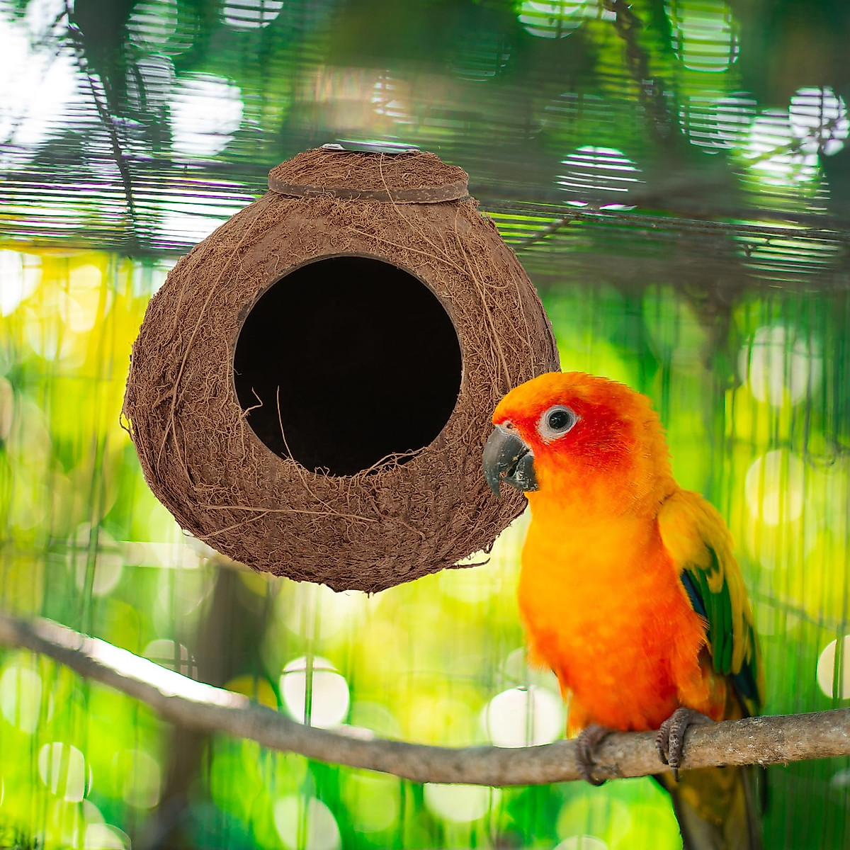 balacoo 2pcs Coconut Parakeet Nesting Box - Hanging Bird Nest Hut Natural Coconut Birdhouse Cage, Bird Hideout, Breeding Nest for Parrot Parakeet and Small Birds