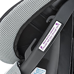 Evenflo Chase Harnessed Booster, Jubilee , 18x18.5x29.5 Inch (Pack of 1)