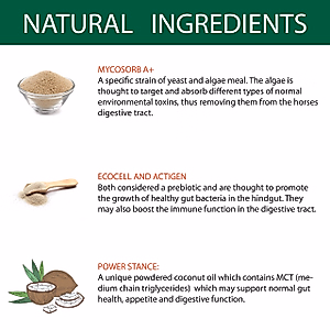 Stance Equitec Re Move - Horse Supplements That Support The Body's Normal Process to Remove Ingested Toxins, Contains Probiotics - 8.8 lb