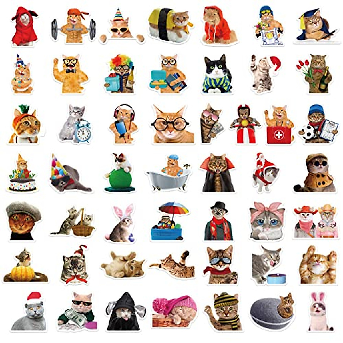 200 Pcs Cute Cat and Dog Stickers, Cat Funny Meme Waterproof Stickers,Vinyl Stickers for Water Bottle,Laptop,Phone,Skateboard Stickers for Kids Aldult Teens Girls (CDE)