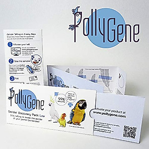 Bird Sexing DNA Slim Sample Card. Gender Reveal Test for Parrots, Macaws, Lovebirds, Cockatoos, Grey African, Silkies‎, Cockatiels (+300 Psittacines) Avian Sexing DNA Testing