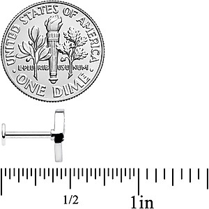 Body Candy Womens 16G Stainless Steel Blue Wing Butterfly Labret Monroe Lip Ring Tragus Cartilage Stud 5/16"