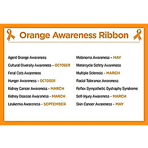 Fundraising For A Cause Multiple Sclerosis Awareness Bangle Bracelet in a Bag (1 Bracelet - Retail)