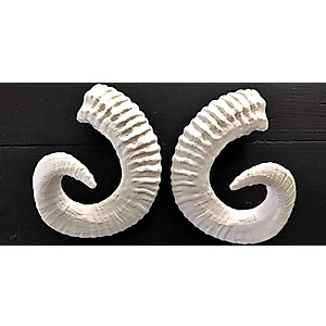 White PLA 1.75 filament - FilaCube PLA 2 pure white filament 1 kg 1.75mm 3D Printer filament [Made in USA] real PLA white PLA+ pro compatible FDM printer ender creality monoprice prusa anet makerbot