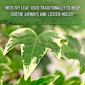 Garden of Life Elderberry Zinc Immune Support for Adults and Kids 12 & Older, mykind Organics Cough & Mucus Immune Syrup 5 fl oz with Ivy Leaf, Vitamin C and Echinacea, No Added Sugars