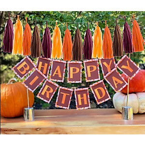 20PCS Maroon Burgundy Burnt Orange Brown Fall Party Tissue Tassel Garland Wall Hanging Banner Streamers Thanksgiving Harvest Bridal Baby Shower Wedding Birthday Nursery Home Office Décor