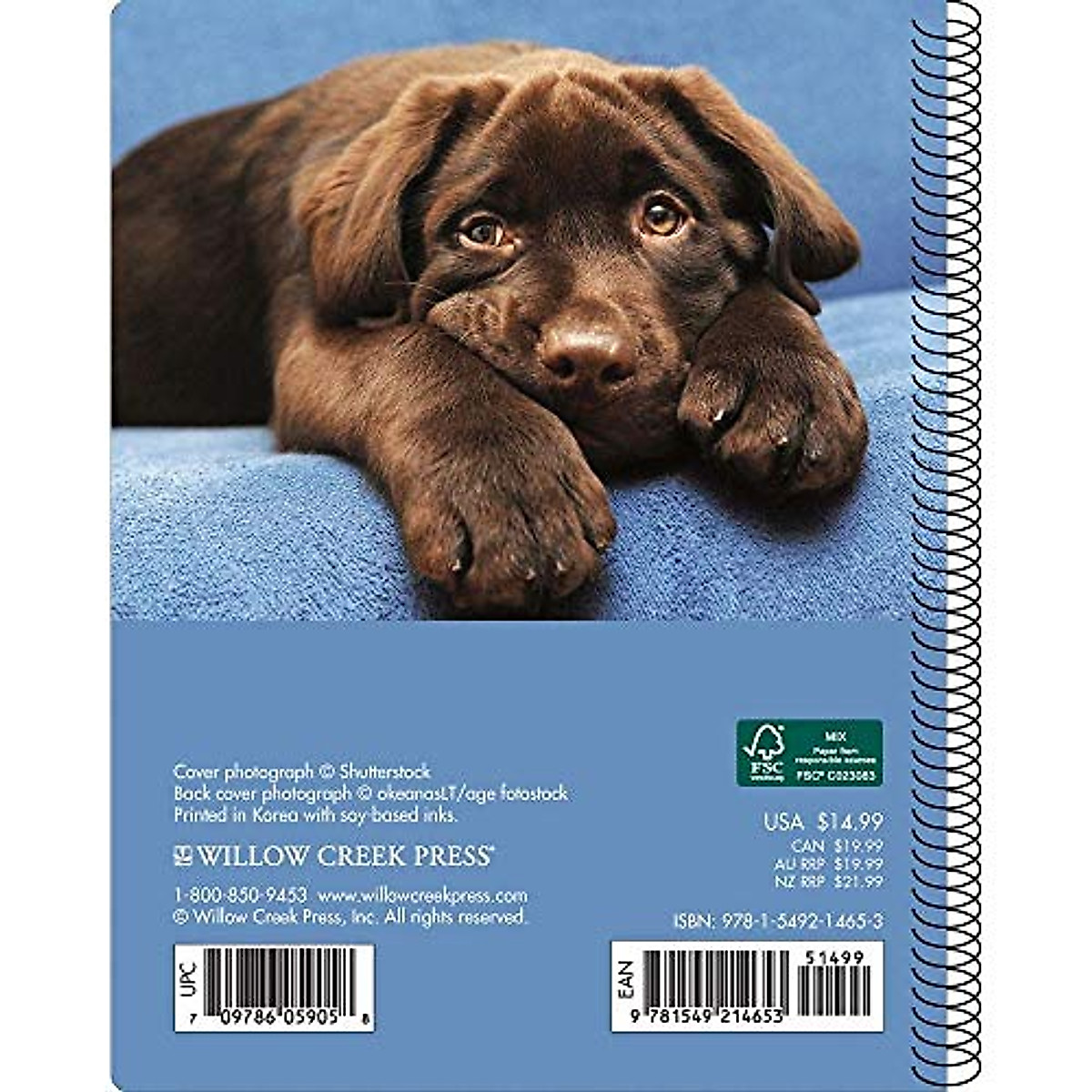 What Labs Teach Us 2021 Engagement Calendar (Dog Breed Calendar)