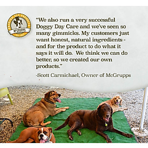 Mcgrupps Green Lawn Chews for Dogs - Grass Burn Relief for Yellow Lawn Spots Caused by Dog Urine -Cranberry for Urinary Tract & Bladder + Digestive Enzymes - Made in The USA -130 Ct