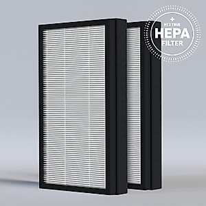 HATHASPACE Certified Replacement Filter for HSP003 Dual Filtration HEPA Air Purifier, 1 Set (H13 True HEPA)