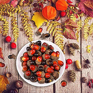 Udefineit 100PCS 3cm Artificial Mini Acorns, Fake Fruit Props Lifelike Oak Nut Plants Model Craft for Home Kitchen Table Decor, Thanksgiving Halloween Christmas Festival Decorative Ornaments (2 Pack)