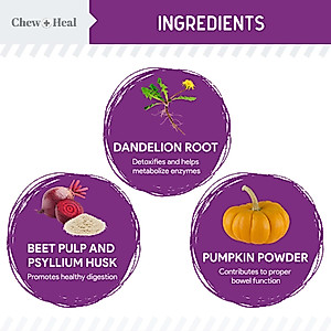 Stop The Scoot Fiber for Dogs - 120 Soft Chews with Pumpkin Powder for Healthy Anal Gland Function - Vet Recommended, Made in The USA