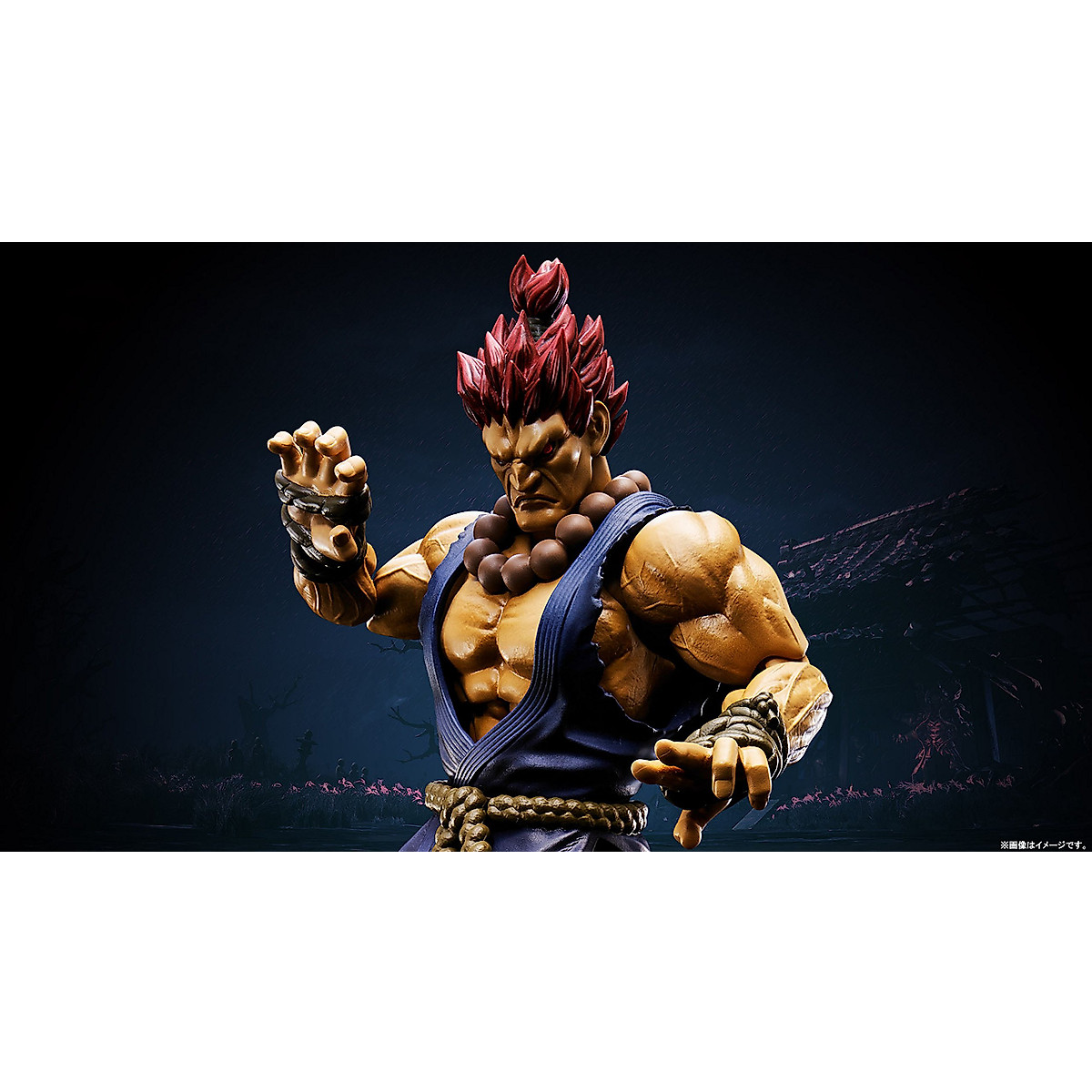TAMASHII NATIONS Bandai S.H. Figuarts Akuma Street Fighter Action Figure