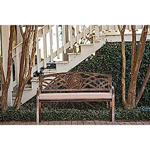 Leigh Country TX 93545 Texas State Seal Metal Bench