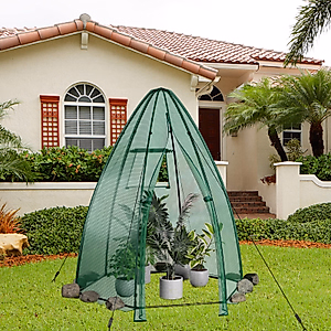 Safstar Portable Mini Greenhouse, Garden Greenhouse W/ All-Weather PE Cover, Roll-up Door, Mesh Window, Outdoor Plant Greenhouse for Cold & Frost Protection, Garden Tent for Pot Plant, 63" x 63" x 72"