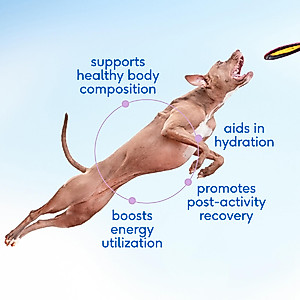 Native Pet Goat Milk Powder for Dogs - Organic Goat Milk for Dogs and Cats - Great Dog Food Additive to Support a Healthy Digestive System for Dogs - 60 Scoops