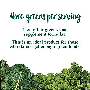 Garden of Life Whole Perfect Green Superfood Vegetable Dietary Powder Supplement, 600 g