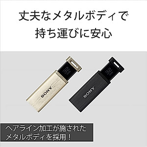 Sony 64GB MicroVault Q-Series USB Flash Drive (USM64GQX/B)