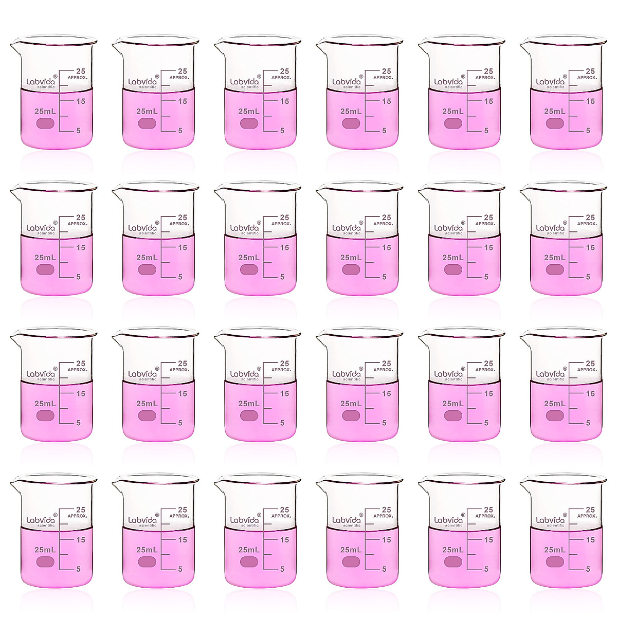 Labvida 24pcs of Low Form Glass Beakers, 3.3 Borosilicate with Printed Graduation, Vol.25ml,LVA037