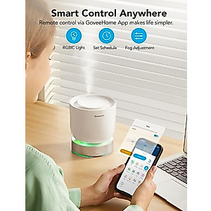 GoveeLife Smart Essential Oil Diffuser with Alexa Voice App Control for Home Office Bedroom, 300ml Quiet Cool Mist Aroma Diffuser with 2 Mist Modes, 24H Timer