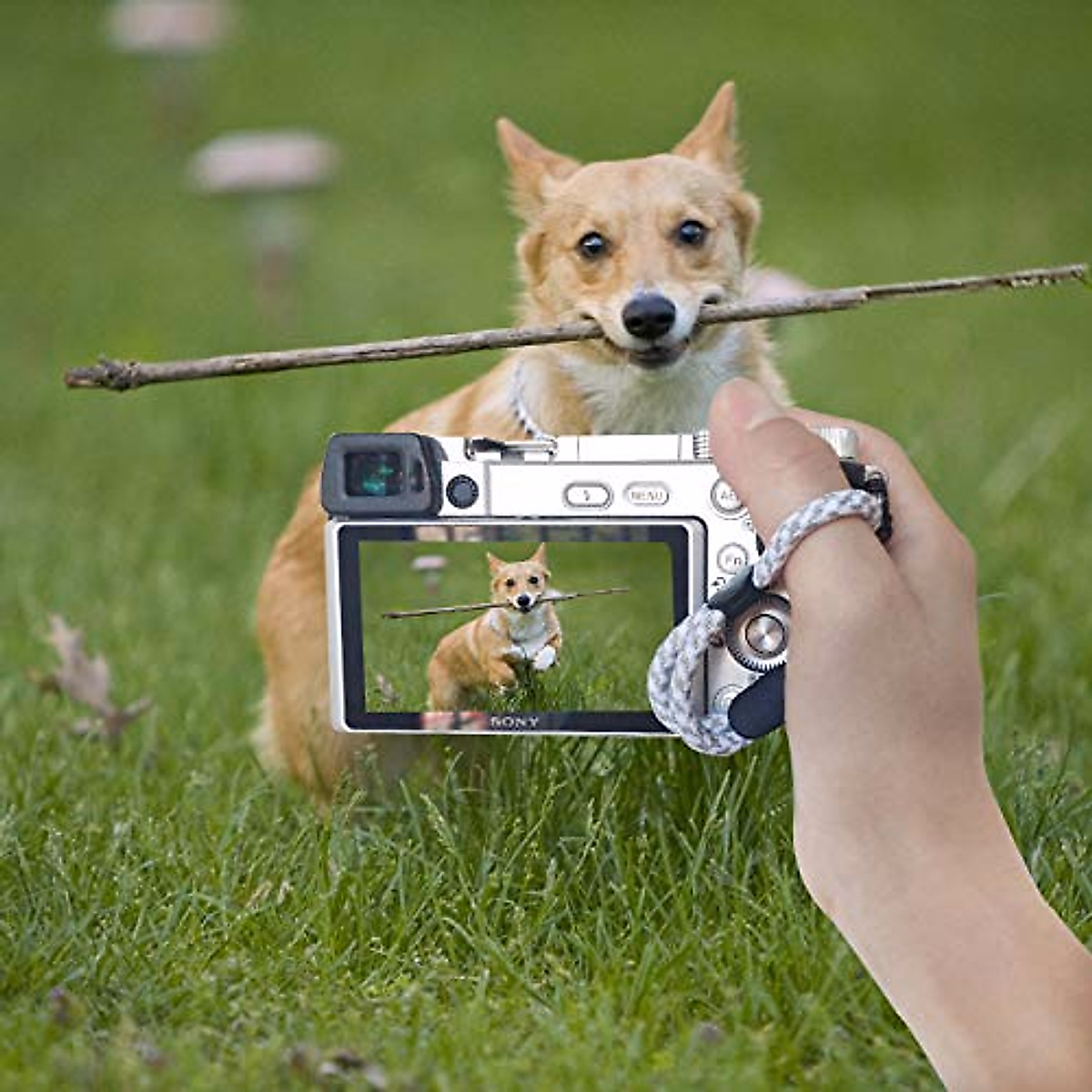 Pluxen Adjustable Finger Lanyard Small Strap Compatible with iPhone Mobile Phone Case Camera Wallet Keychain