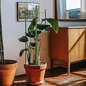 Legigo 4ft 4-Pack Tomato Cage for Garden Plant Support- Up to 48inch Garden Stakes Tomato Cage, Tomato Trellis for Potted Plants, Tomato Cages Plant Stakes for Climbing Vegetables Plants Flowers