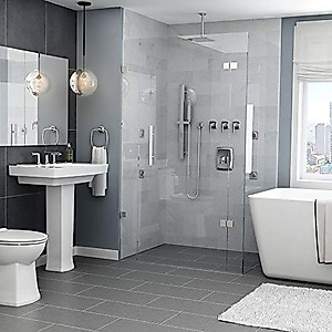 American Standard 2922A104.020 Townsend Vormax Right Height Elongated Toilet, White