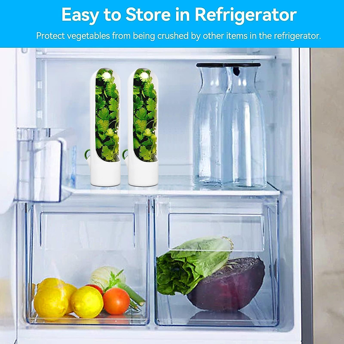 Fresh Herb Keeper for Refrigerator, 2PCS Cilantro Fresh Container Herb Savor Pod Herb Keeper and Herb Saver Fruit Containers Transparent Vegetable Preservation Bottle Kitchen Storage Cup for Cilantr