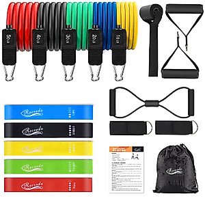 Resistance Bands Set 17pcs, Resistance Band, Exercise Bands Fitness Workout with Wide Handles, Door Anchor, Steel Clasp, Carry Bag, Ankle Straps for Home Gym Outdoor Travel