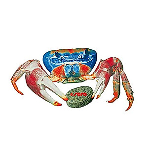 Sera Spirulina Tabs Nature 0.5 oz 24 Tabl.