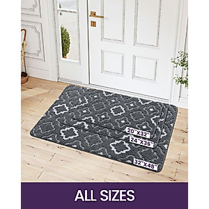 DEXI Door Mats Indoor, Absorbent Non Slip Front Door Rugs for Inside House, Low Profile Easy Clean Entrance Mat, 48"x32", Grey