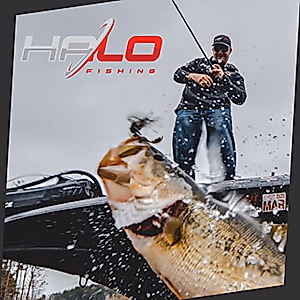 Halo Fishing Scott Canterbury Series Fishing Rod, Casting Rod, 7'3" Medium Heavy, Black