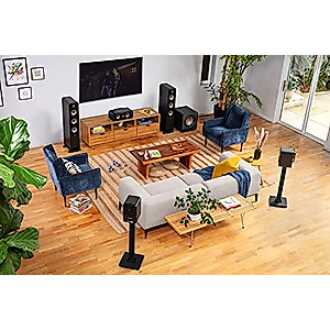 Polk Signature Elite ES30 Center Channel Speaker - Hi-Res Audio Certified and Dolby Atmos & DTS:X Compatible, 1" Tweeter & Two 5.25" Woofers, Dual Power Port for Effortless Bass, Stunning Black