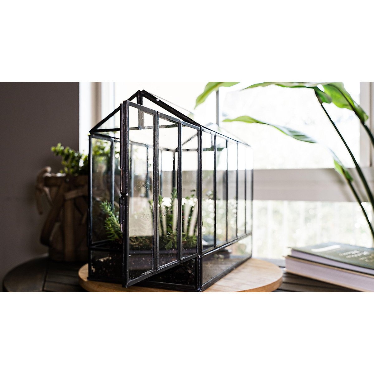 Urban Born Large Indoor Greenhouse Shape Terrarium — 10" x 6" x 10" (Black)