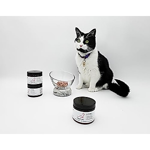 Haya Pets Lysine Cat Supplements Immunity Booster Powder for Respiratory Support, Eye Health, Runny Nose, Cat Herpes, and Allergy Support