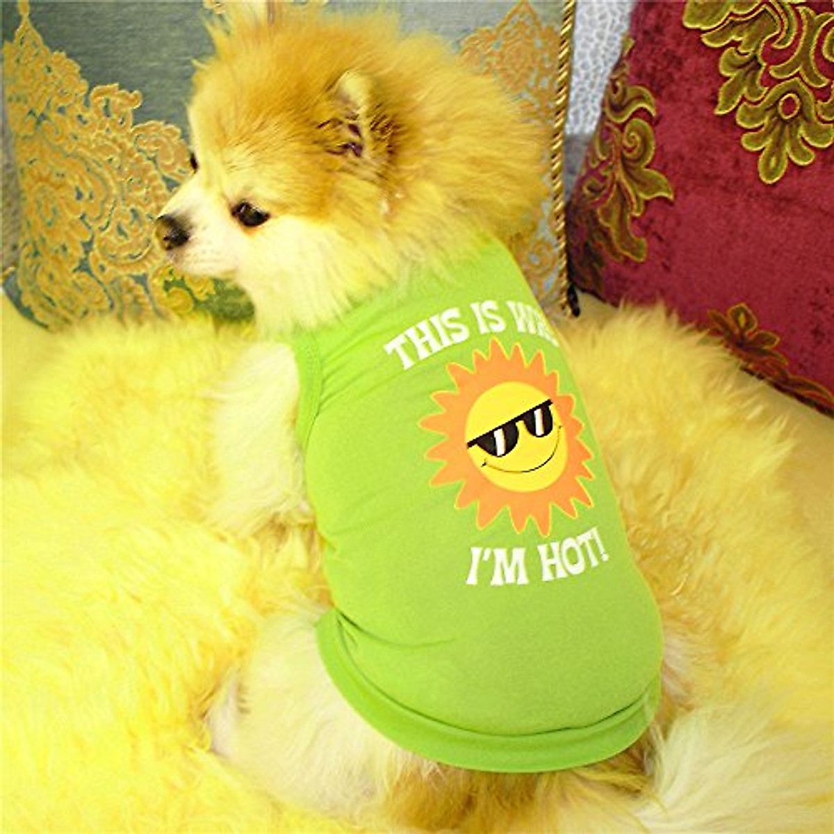 Dog Clothes Medium Size Dog Female Cat Clothes Vest Shirt Summer Shirt Puppy Small Pet Clothes Doggy Clothes for Small Dogs Girl