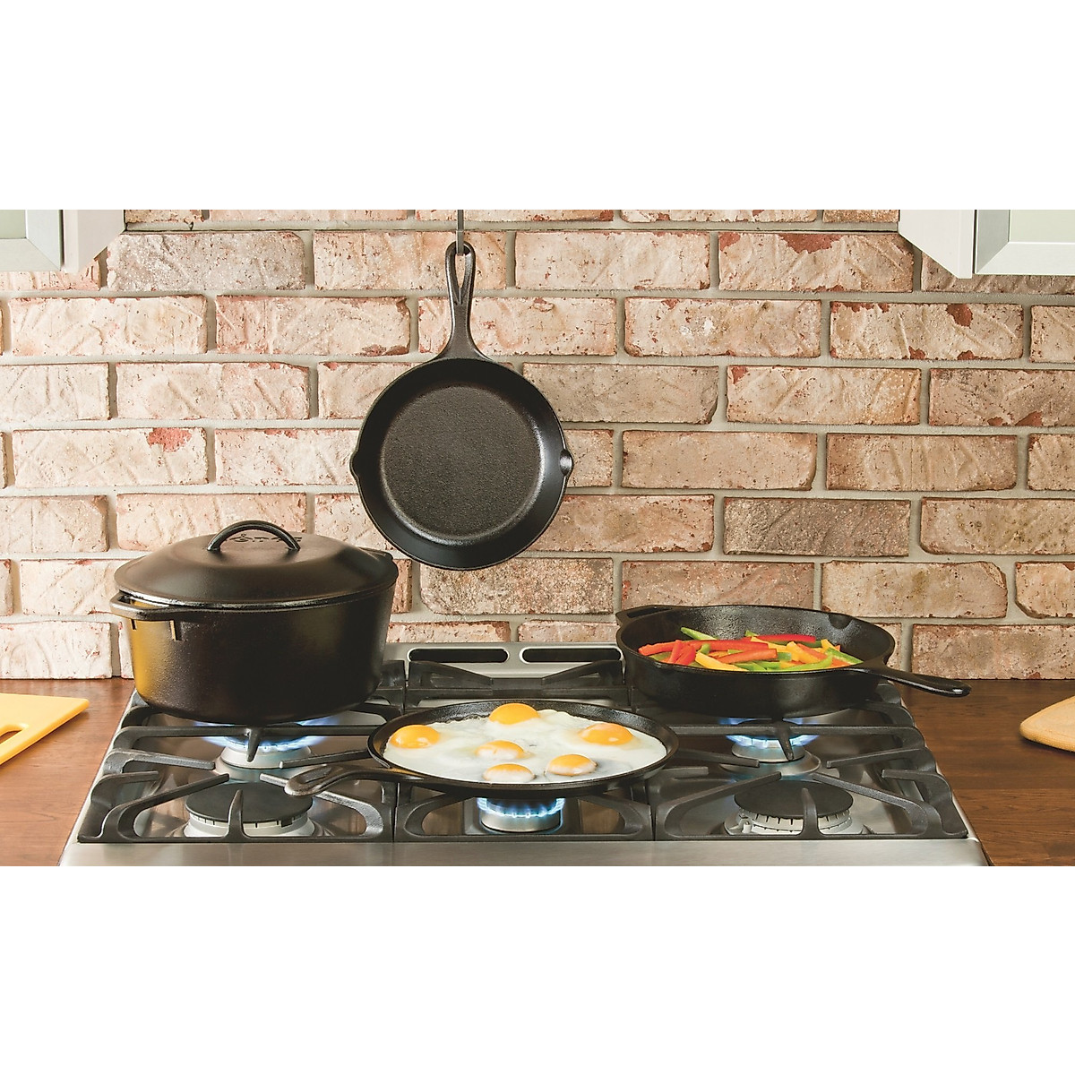 Lodge L8DOLKPLT Cast Iron Dutch Oven with Dual Handles, Pre-Seasoned, 5-Quart,Black