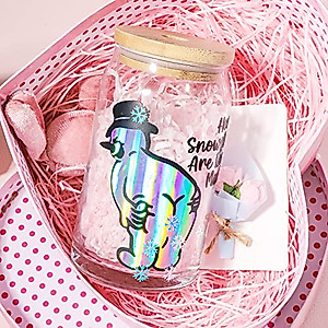 GIRAFVINYL Holographic Vinyl Rainbow Glossy Silver Permanent Vinyl Adhesive Vinyl Roll 12inches X 6 Feet,Craft Vinyl Silver for Vinyl Cutter for DIY Cup Decor,Home Decor,Christmas Vinyl