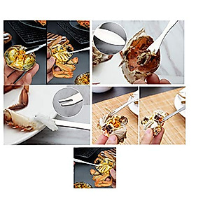 10 pcs Seafood Forks,Crab Forks,Lobster Forks, Fruits Forks 6.49 inches